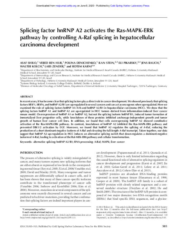(PDF) Splicing factor hnRNP A2 activates the Ras-MAPK-ERK pathway by ...