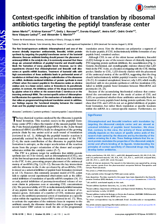 (PDF) Context-specific inhibition of translation by ribosomal antibiotics targeting the peptidyl ...