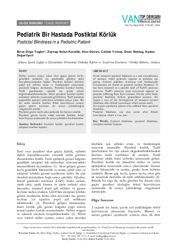 (PDF) Postictal Blindness in a Pediatric Patient
