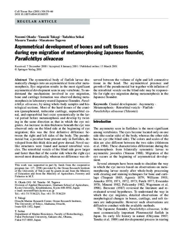 (PDF) Asymmetrical development of bones and soft tissues during eye ...