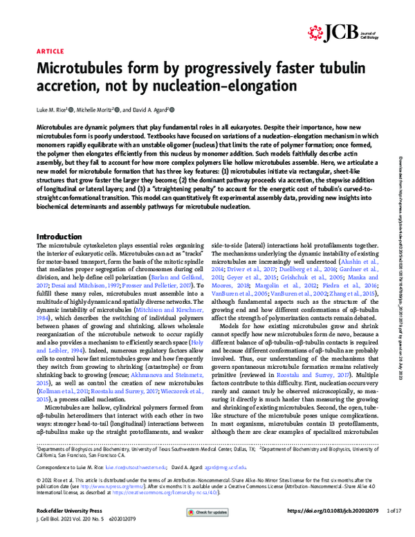 (PDF) Microtubules form by progressively faster tubulin accretion, not ...