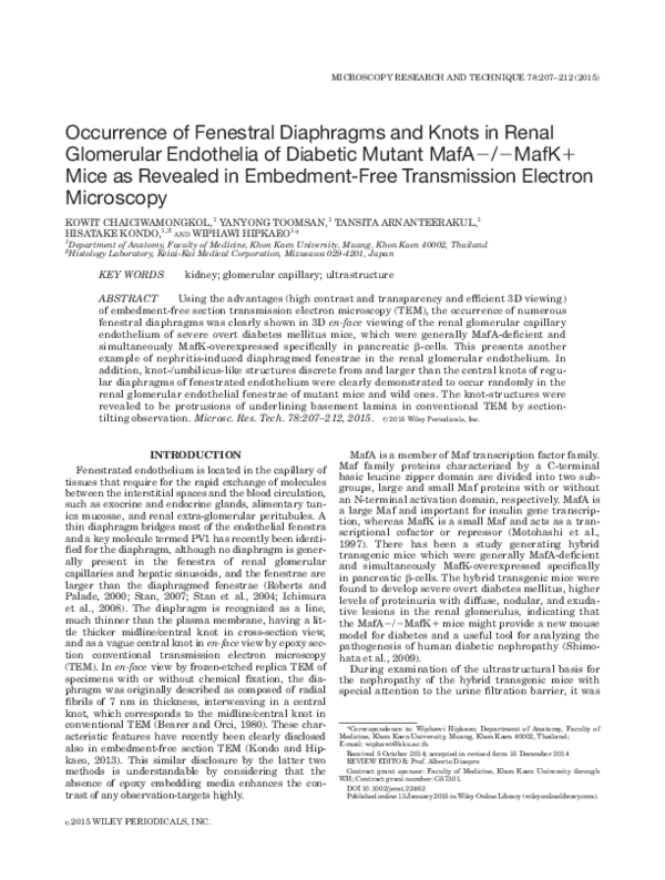 (PDF) Occurrence of fenestral diaphragms and knots in renal glomerular ...