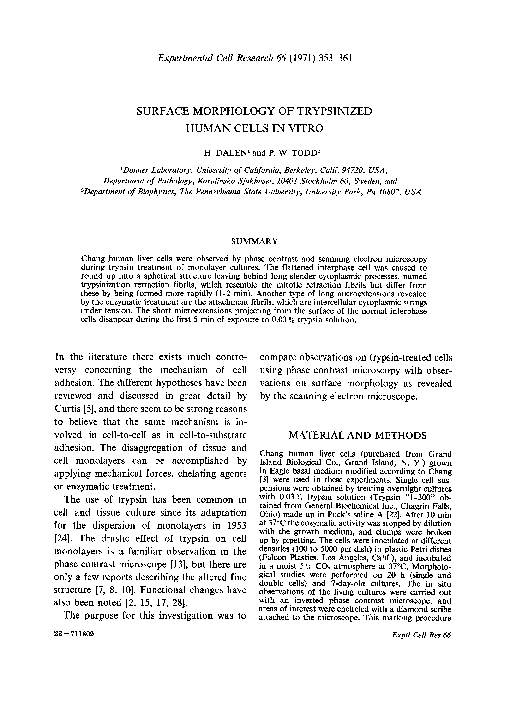 (PDF) Surface morphology of trypsinized human cells in vitro | Paul ...