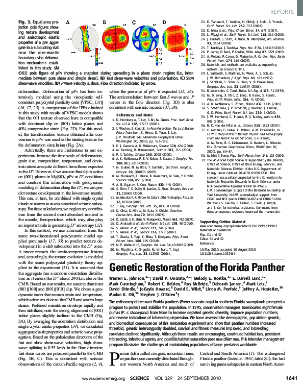 (PDF) Genetic restoration of the Florida panther