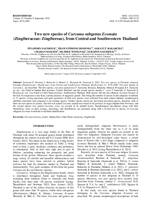 (PDF) Two new species of Curcuma subgenus Ecomata (Zingiberaceae ...