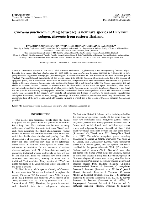 (PDF) Curcuma pulcherrima (Zingiberaceae), a new rare species of ...