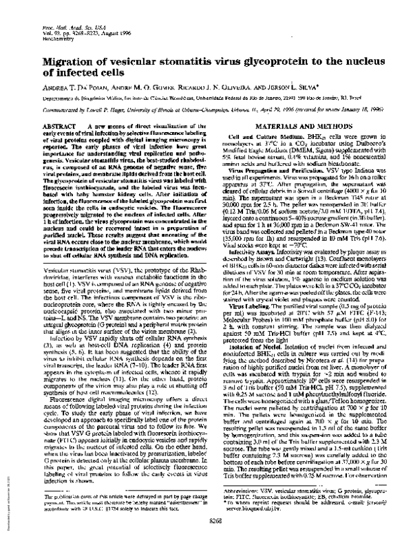(PDF) Migration of vesicular stomatitis virus glycoprotein to the ...