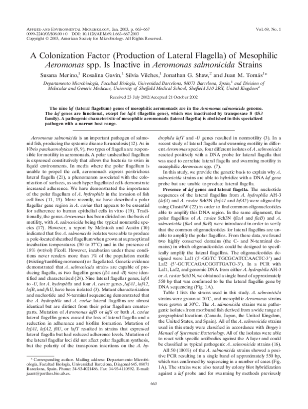 (PDF) A Colonization Factor (Production of Lateral Flagella) of ...