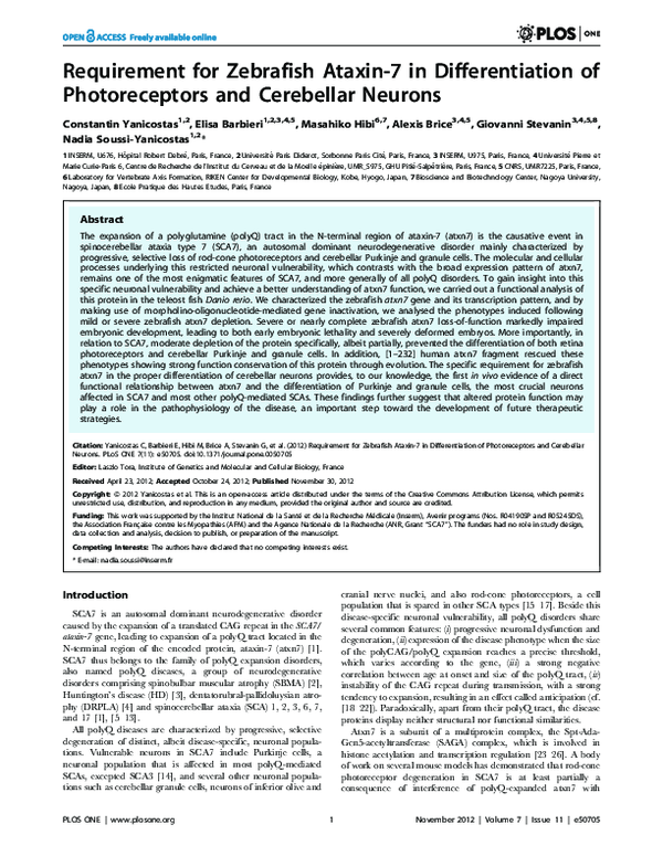 (PDF) Requirement for Zebrafish Ataxin-7 in Differentiation of ...