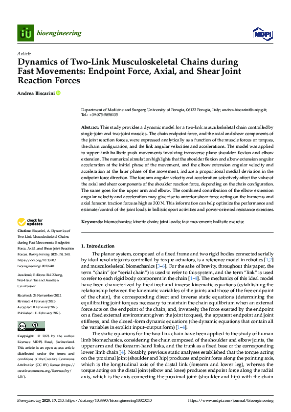 (PDF) Dynamics of Two-Link Musculoskeletal Chains during Fast Movements ...