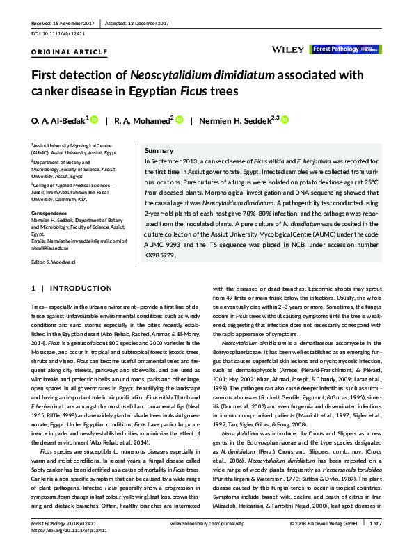 (PDF) First detection of Neoscytalidium dimidiatum associated with ...