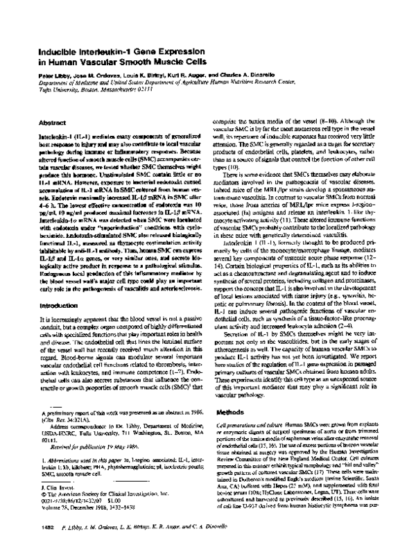 (PDF) in Human Vascular Smooth Muscle Cells | Kurt Auger - Academia.edu