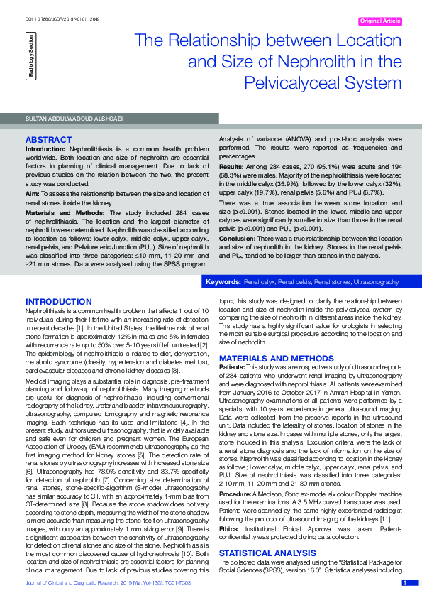 (PDF) The Relationship between Location and Size of Nephrolith in the ...