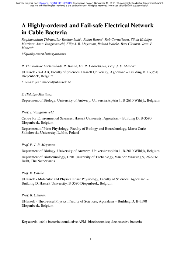 (PDF) A Highly-ordered and Fail-safe Electrical Network in Cable Bacteria