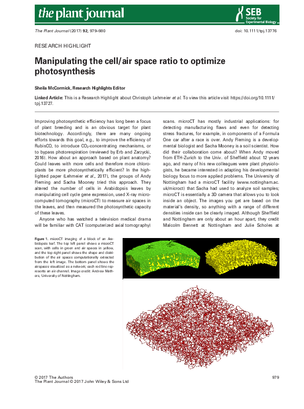 (PDF) Manipulating the cell/air space ratio to optimize photosynthesis