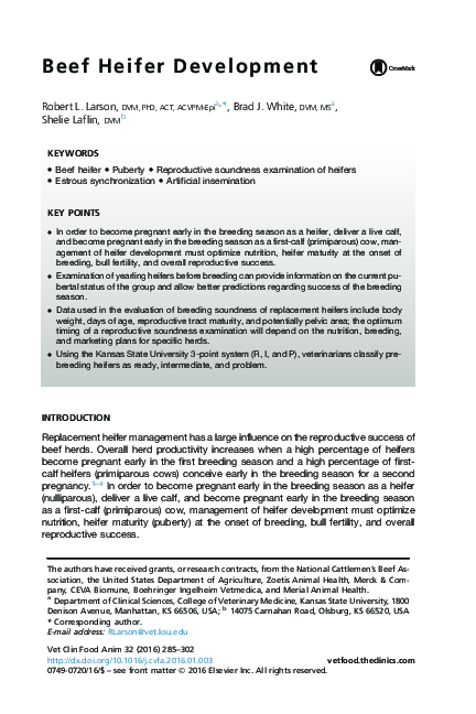 (PDF) Beef Heifer Development