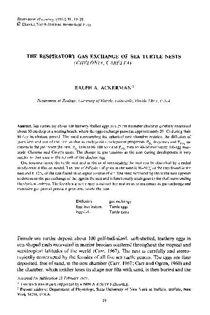 (PDF) The respiratory gas exchange of sea turtle nests (Chelonia, Caretta)