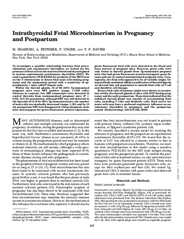 (PDF) Intrathyroidal Fetal Microchimerism in Pregnancy and Postpartum