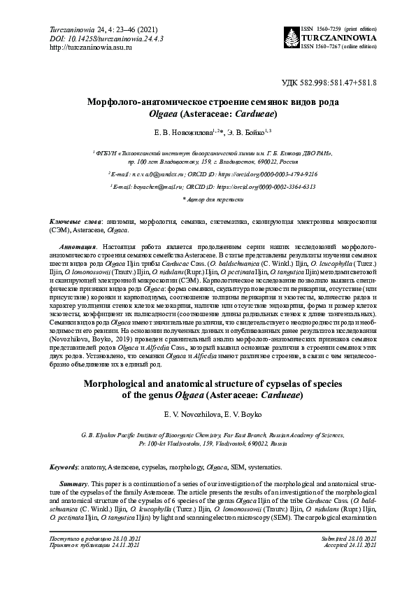(PDF) Morphological and anatomical structure of cypselas of species of ...