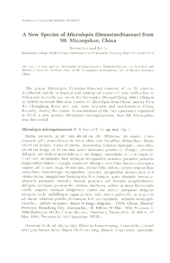 (PDF) A New Species of Microlepia (Dennstaedtiaceae) from Mt ...