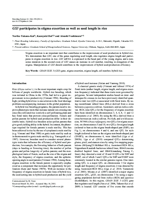 (PDF) GS3 participates in stigma exsertion as well as seed length in rice