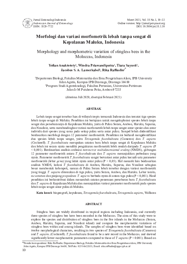 (PDF) Morfologi dan variasi morfometrik stingless bees di Kepulauan Maluku, Indonesia