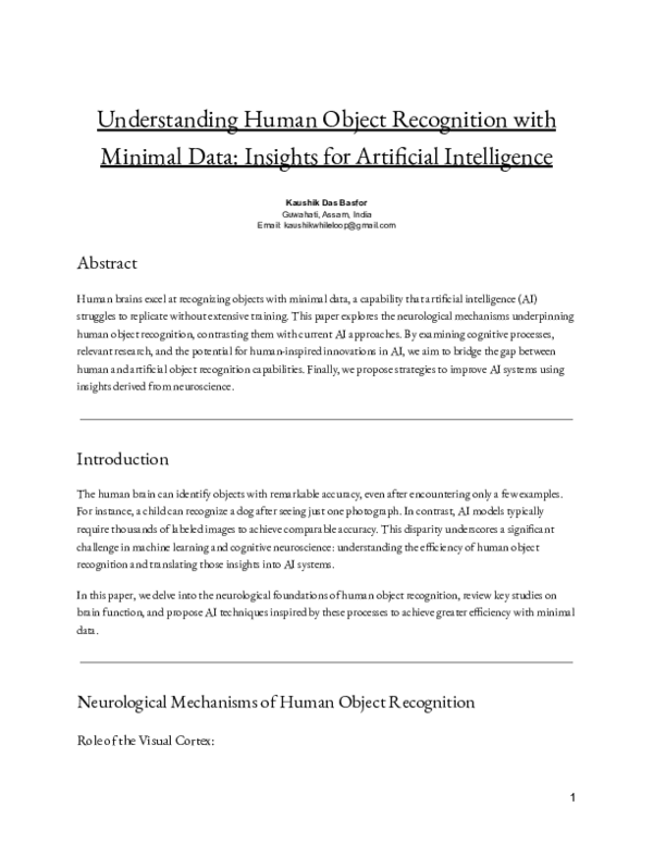 Pdf Understanding Human Object Recognition With Minimal Data Insights