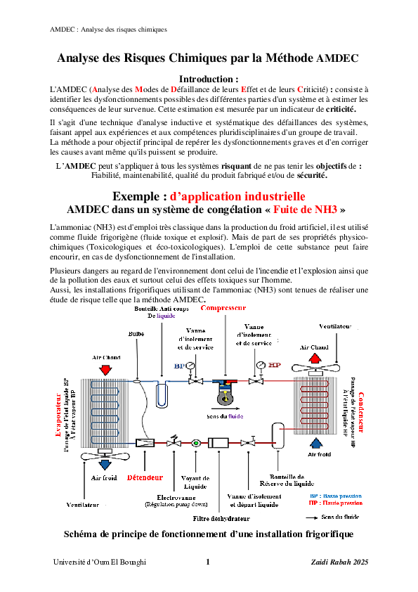 (PDF) Exercice corrigé : Analyse des Risques Chimiques (méthode AMDEC) HS25
