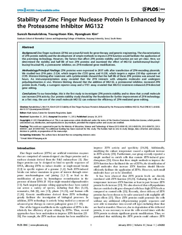Stability of Zinc Finger Nuclease Protein Is Enhanced by the Proteasome Inhibitor MG132