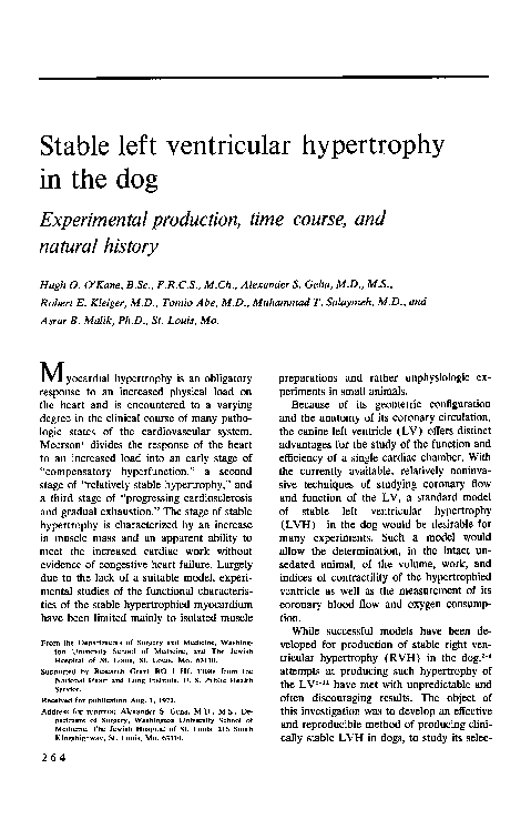 (PDF) Stable left ventricular hypertrophy in the dog