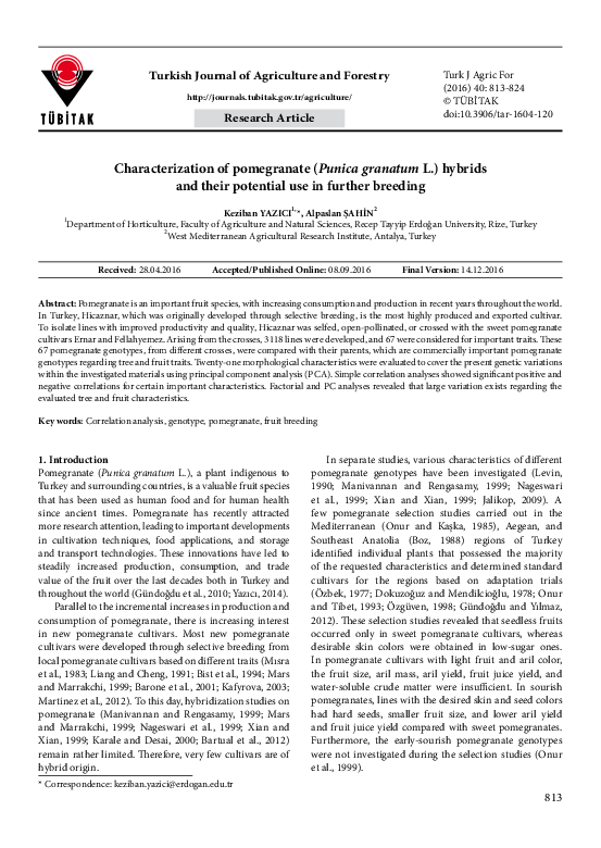 (PDF) Characterization of pomegranate (Punica granatum L.) hybridsand ...
