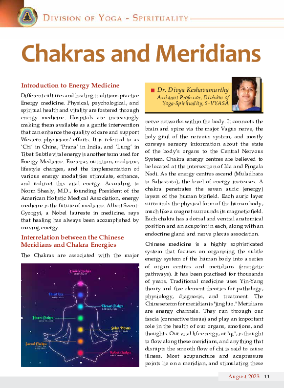 Chakras Meridians Vs