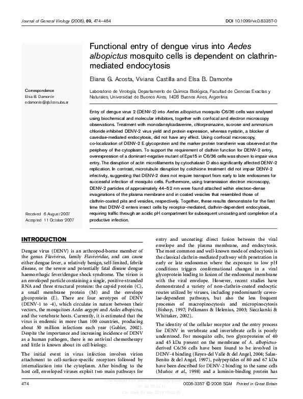 (PDF) Functional entry of dengue virus into Aedes albopictus mosquito cells is dependent on ...