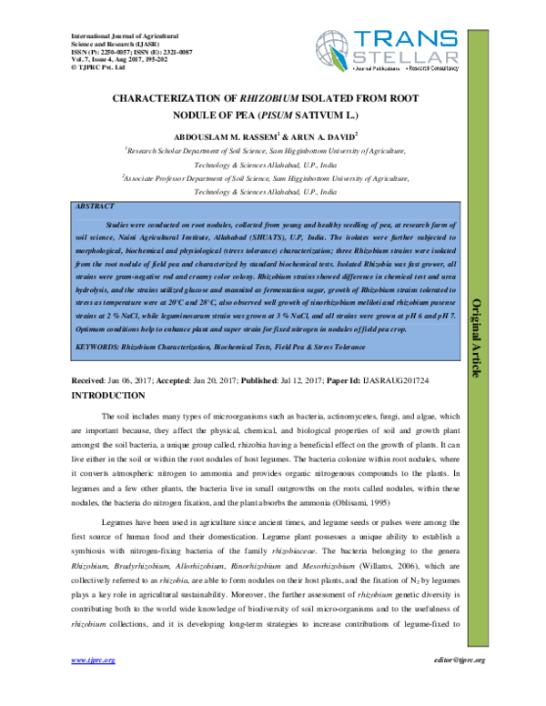 (PDF) Characterization of Rhizobium Isolated From Root Nodule of Pea (Pisum Sativum L ...