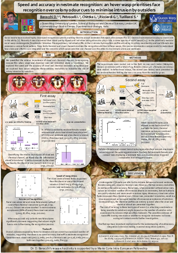 (PDF) Speed and accuracy in wasp nestmate recognition: vision and olfaction