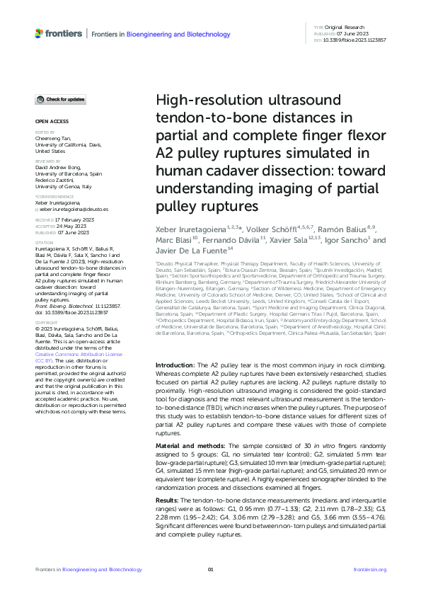 (PDF) High-resolution ultrasound tendon-to-bone distances in partial ...