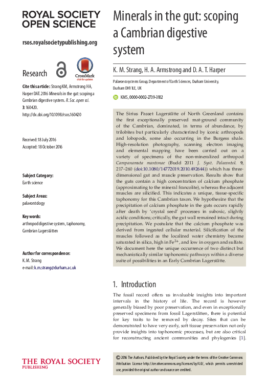 (PDF) Minerals in the gut: scoping a Cambrian digestive system