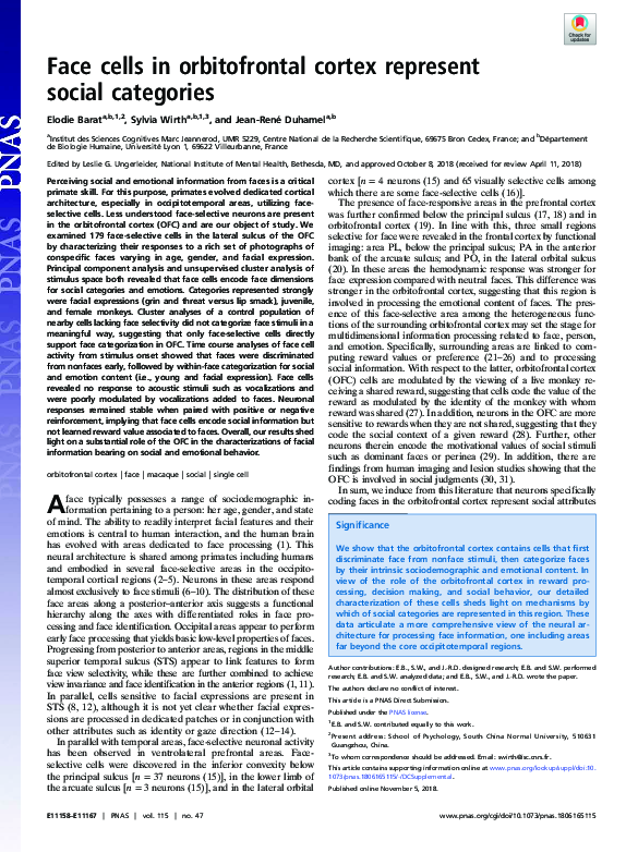 (PDF) Face cells in orbitofrontal cortex represent social categories
