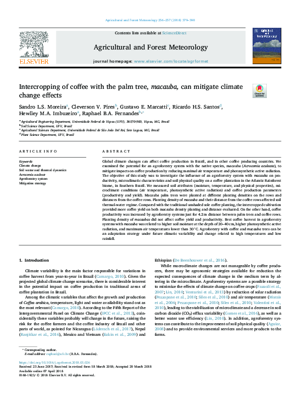 (PDF) Intercropping of coffee with the palm tree, macauba, can mitigate ...
