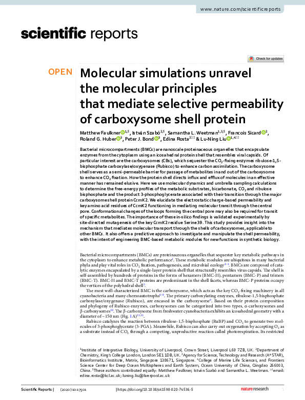 (PDF) Molecular simulations unravel the molecular principles that ...
