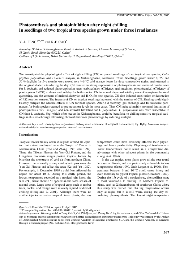 (PDF) Photosynthesis and photoinhibition after night chilling in ...