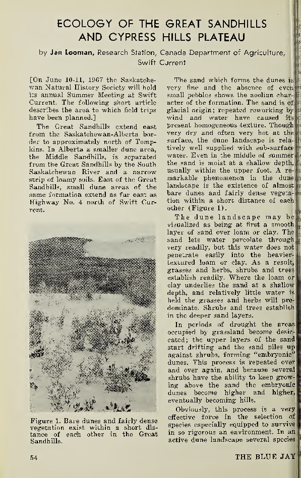 (PDF) Ecology of the Great Sandhills and Cypress Hills Plateau | Jan ...