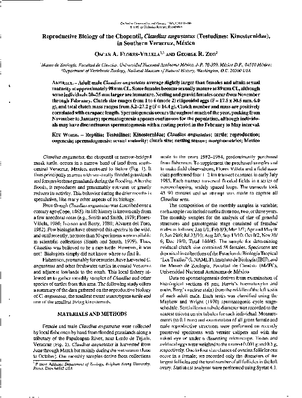 (PDF) Reproductive biology of the chopontil, Claudius angustatus ...