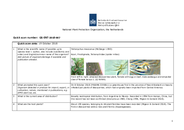 (PDF) The Quick Scan