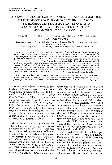 (PDF) A new species of subterranean blind salamander (Plethodontidae ...