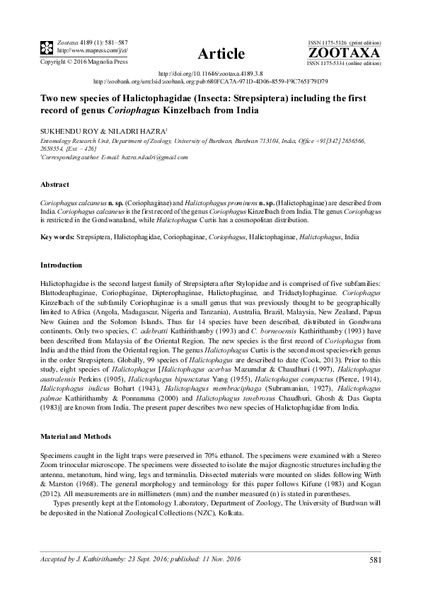 (PDF) Two new species of Halictophagidae (Insecta: Strepsiptera ...