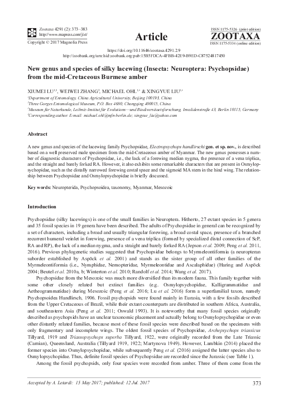 (PDF) New genus and species of silky lacewing (Insecta: Neuroptera ...