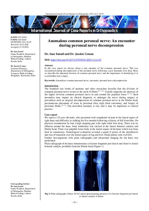 (PDF) Anomalous common peroneal nerve: An encounter during peroneal ...