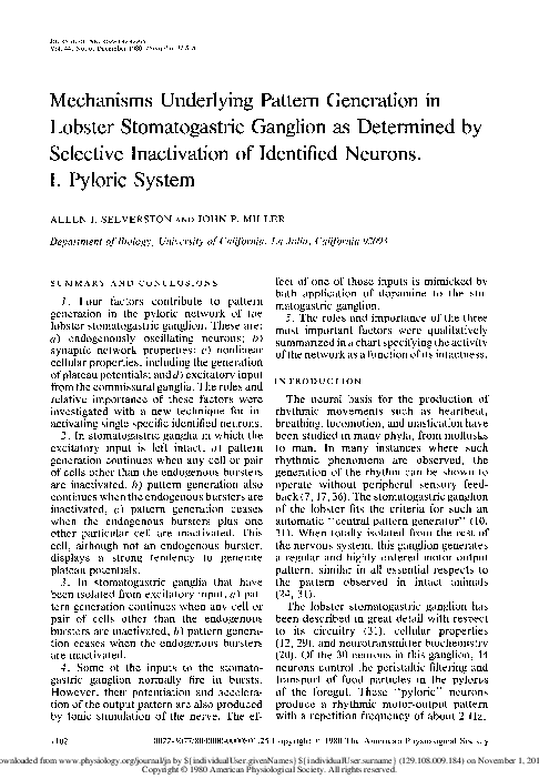 (PDF) Mechanisms Underlying Pattern Generation in the Lobster ...
