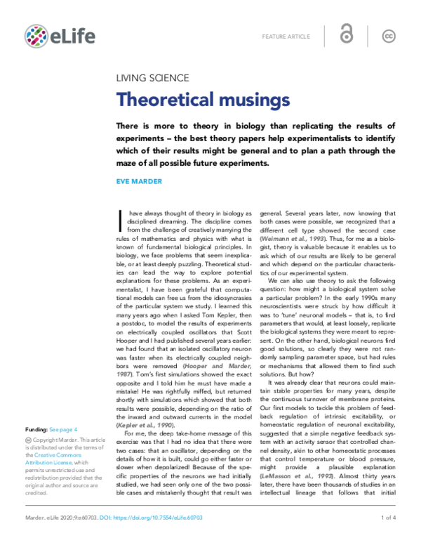 (PDF) Theoretical musings